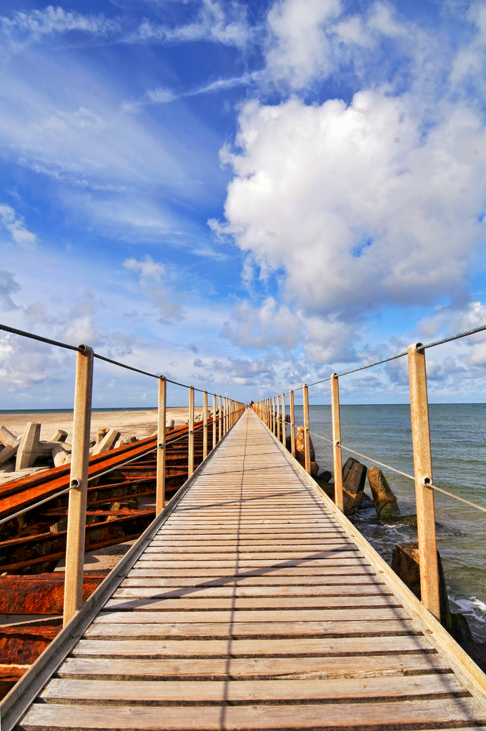 The Platypus Affiliated Society – The Jetty large